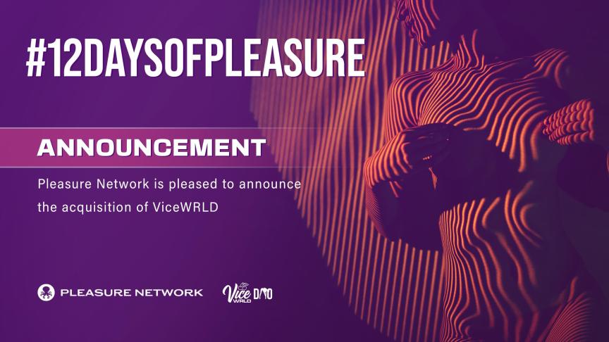 Pleasure Network Takes the Adult Entertainment Industry by Storm with ViceWRLD Acquisition ...